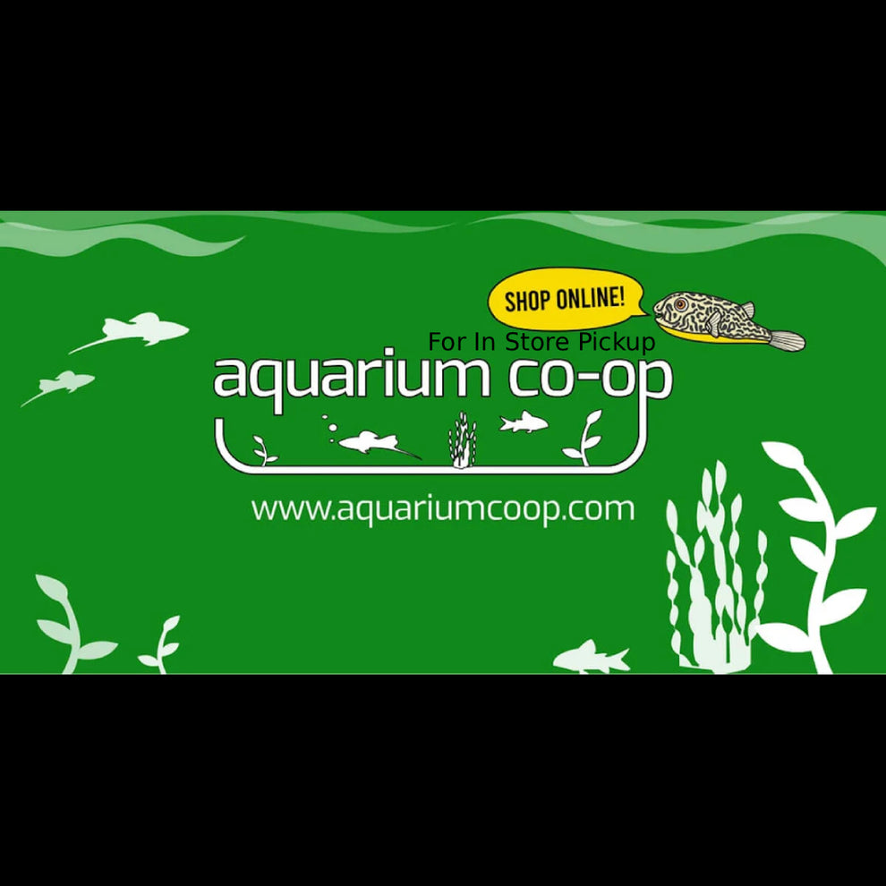 Aquarium Co-Op Easy Spawning Mop – Tropical Showcase